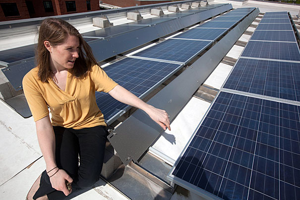 At Ed School, it’s easy being green — Harvard Gazette