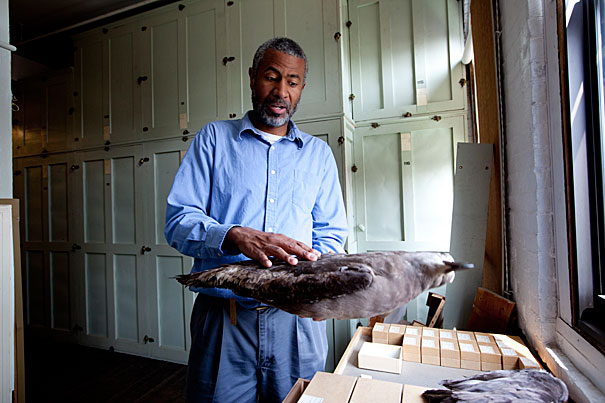 A look inside the lab — Harvard Gazette