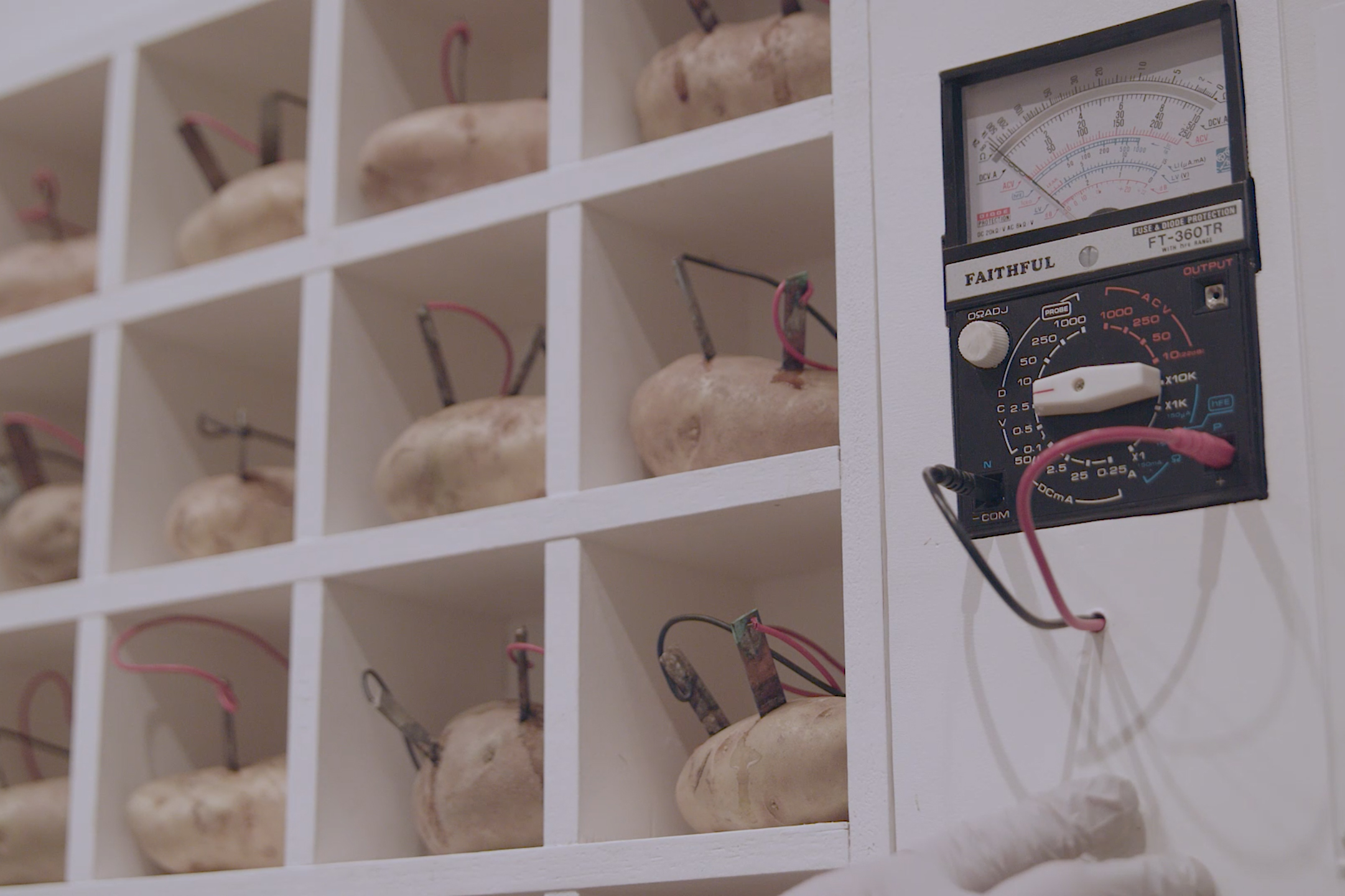 Harvard Art Museums' exhibit uses potatoes to make serious point ...