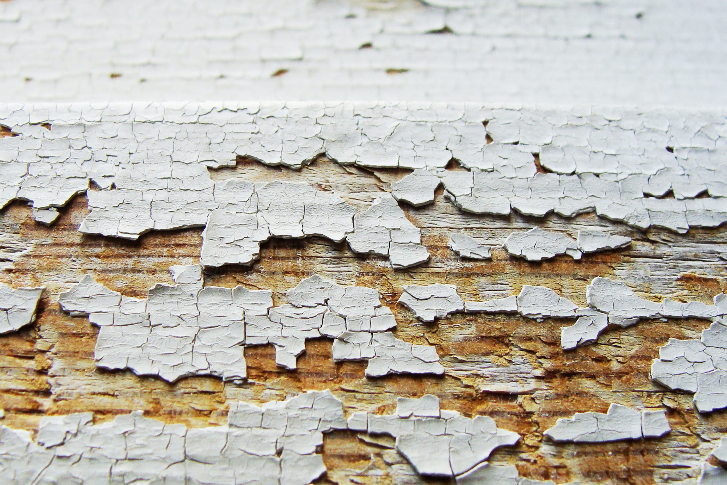 The real foe in childhood lead poisoning: Paint in housing — Harvard ...