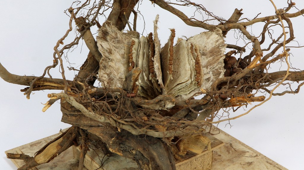 Newburyport artist’s ‘spirit books’ on display at Arnold Arboretum ...