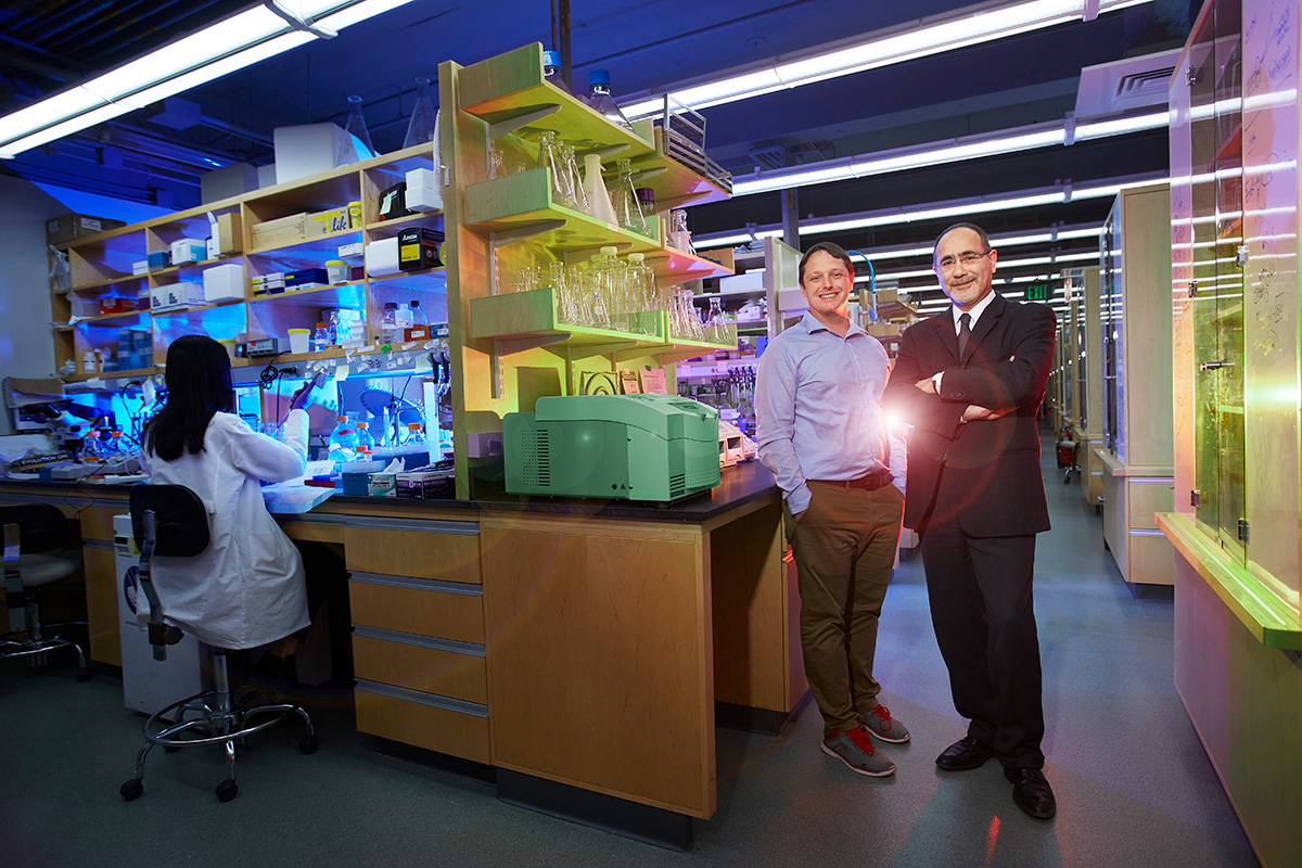 Newly discovered mechanism regulates cholesterol metabolism — Harvard ... Newly discovered mechanism regulates cholesterol metabolism — Harvard ...