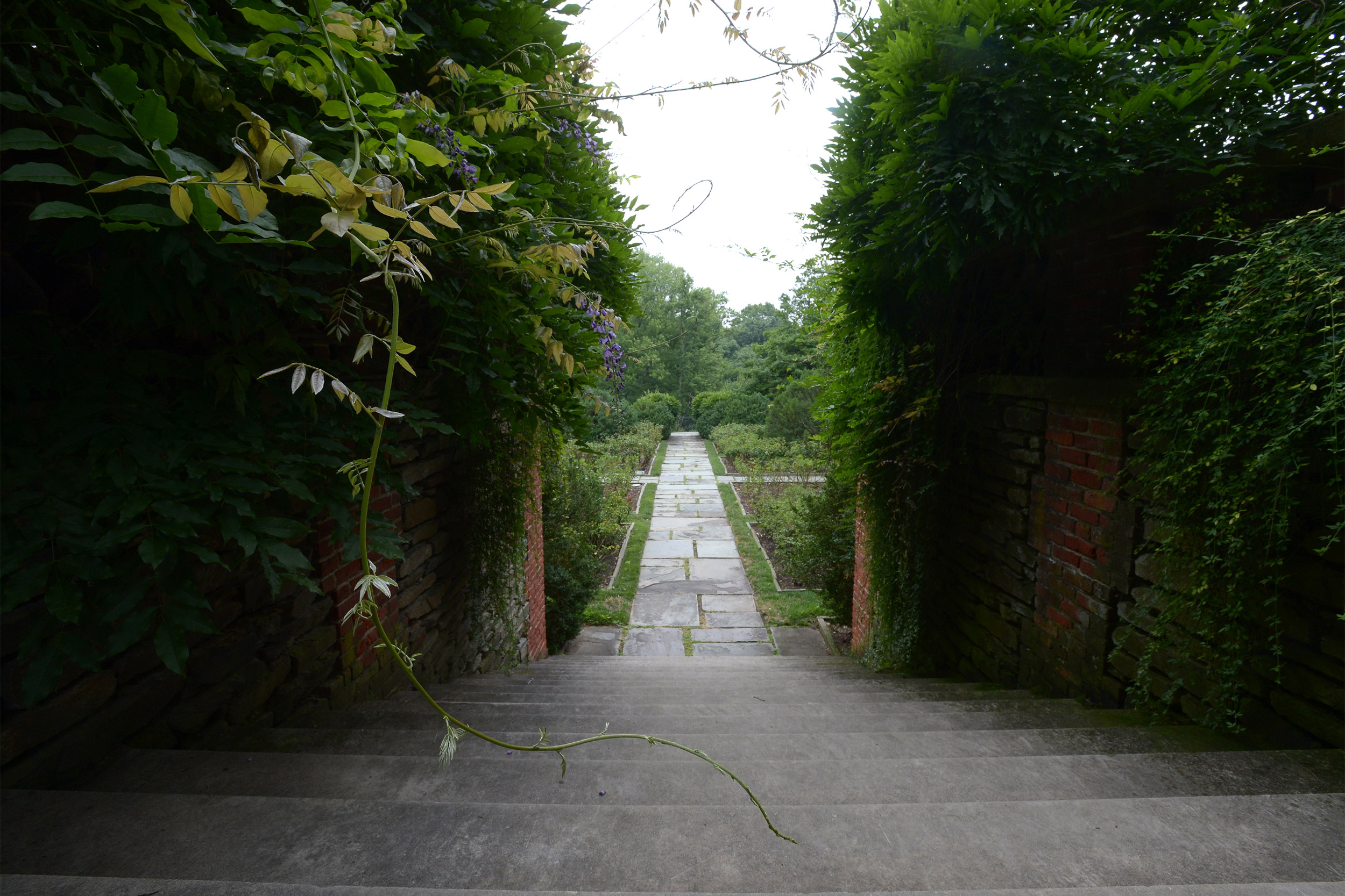 Dumbarton Oaks and JSTOR award Plant Humanities Fellowships — Harvard ...