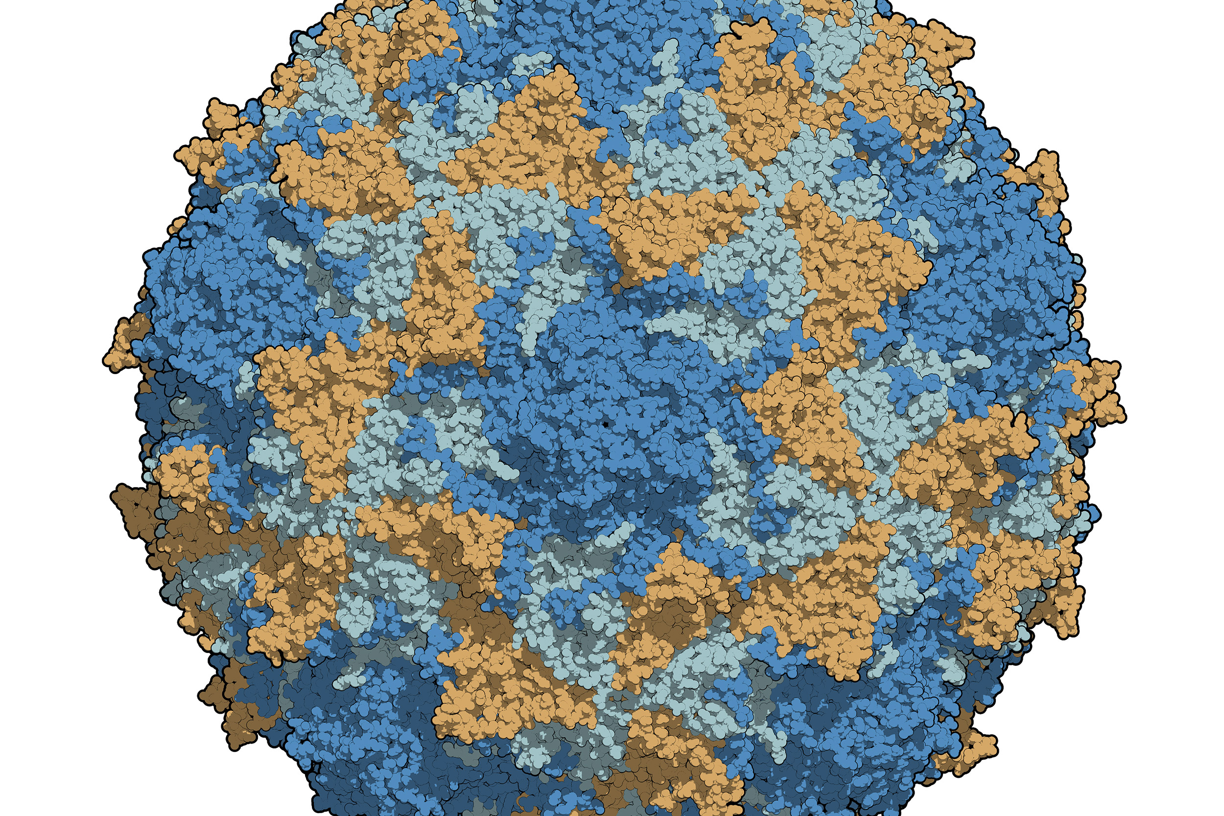 First video of viruses assembling released — Harvard Gazette