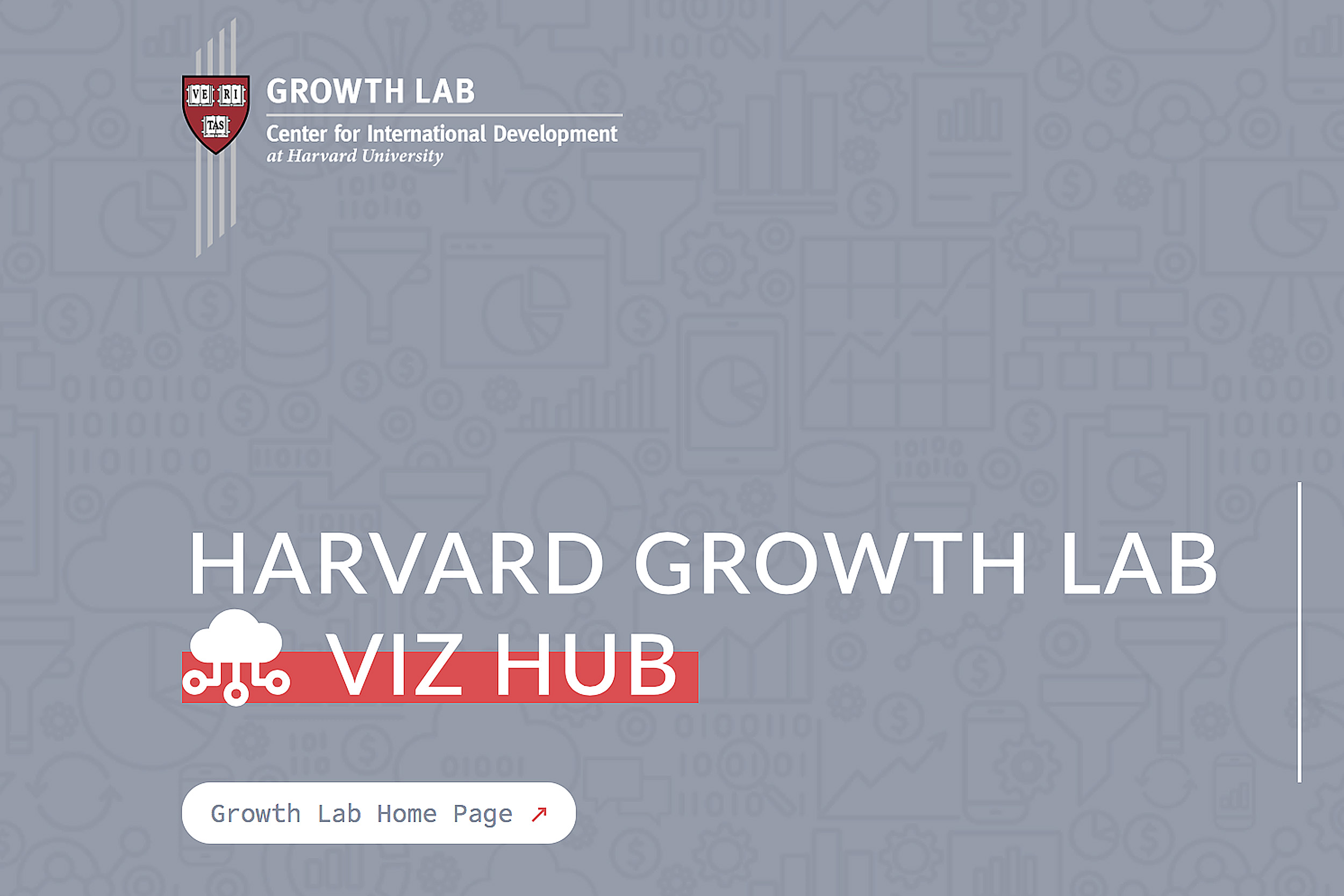 Visual insights from the Growth Lab in 2020 — Harvard Gazette