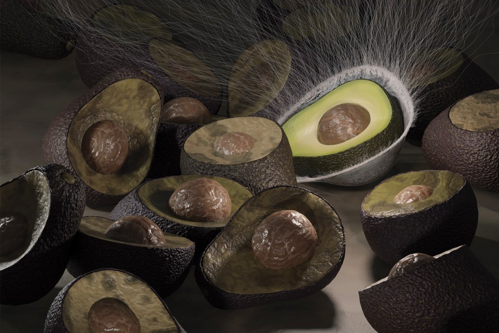 New food packaging system reduces spoilage and contamination — Harvard ...