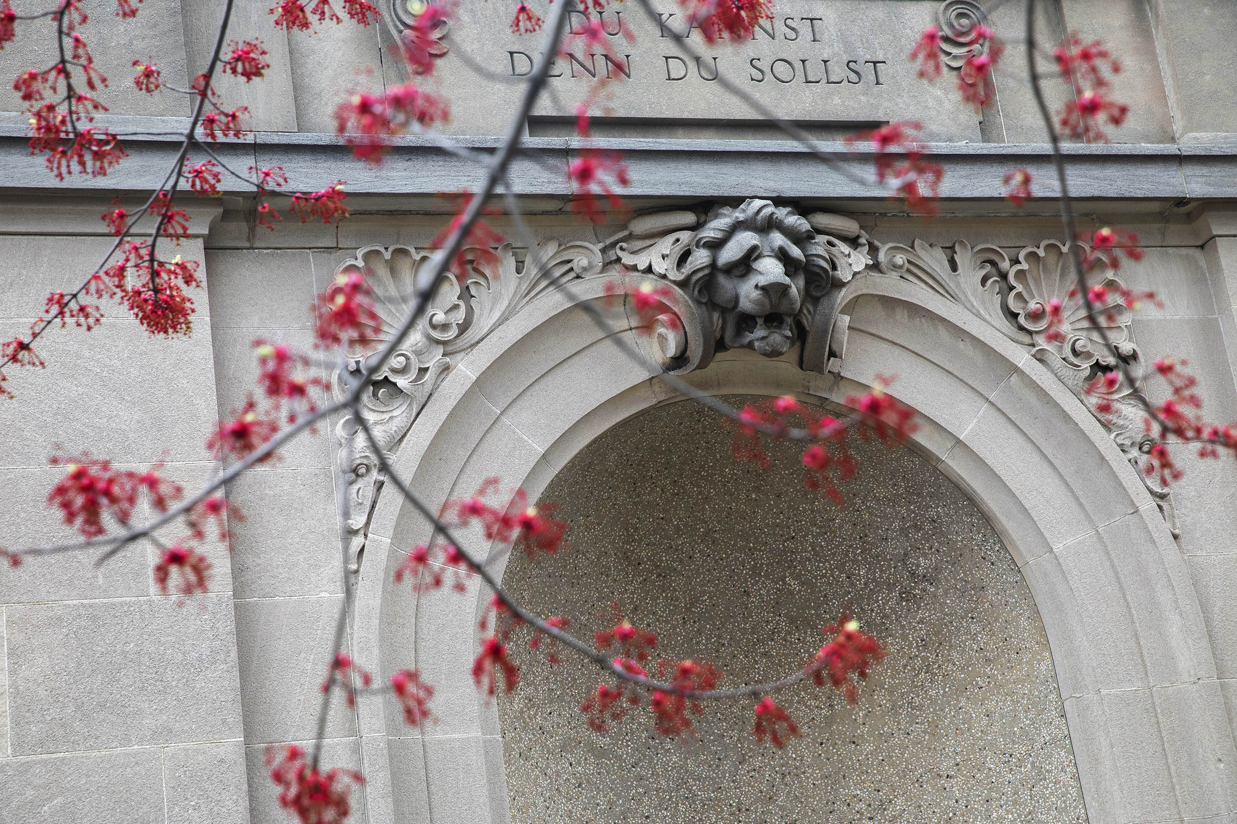 Capturing the four seasons across the Harvard campus — Harvard Gazette