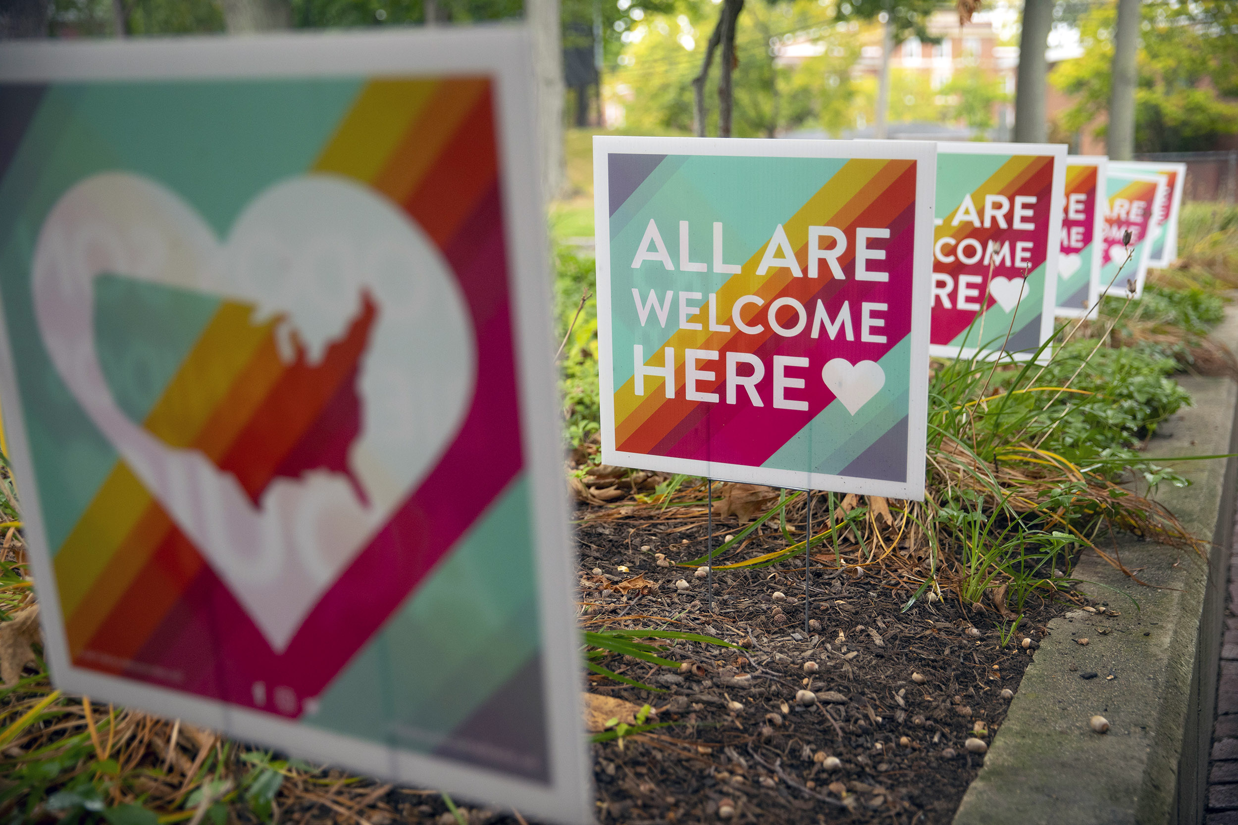 Capturing the four seasons across the Harvard campus — Harvard Gazette