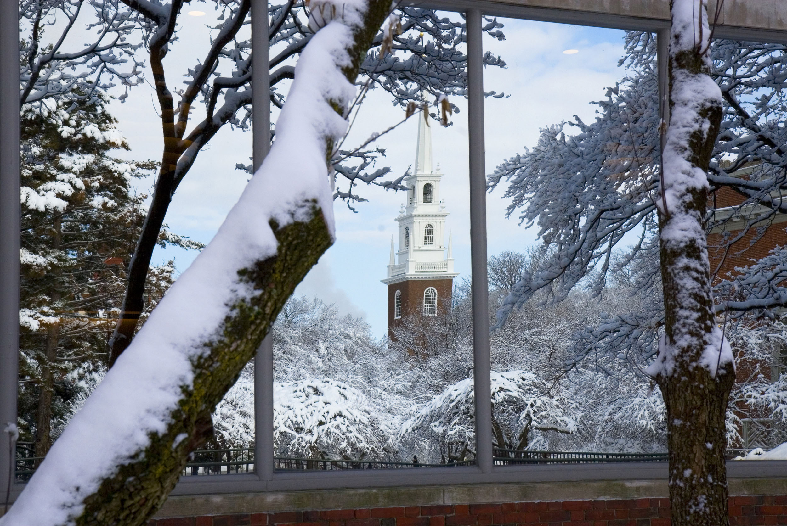 Snowy campus scenes are frozen in time — Harvard Gazette