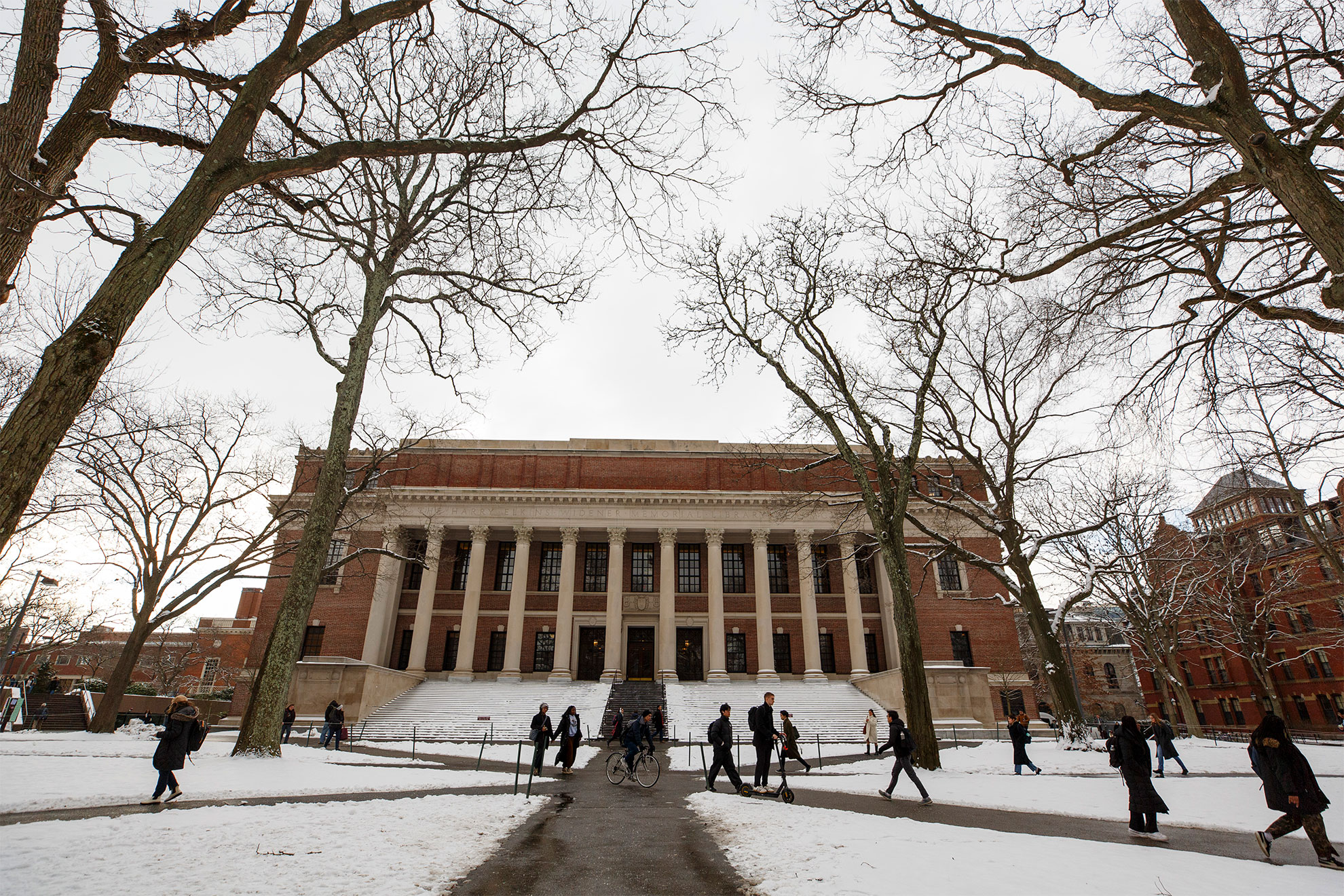 Ballot finalized for Overseer and HAA director elections — Harvard Gazette